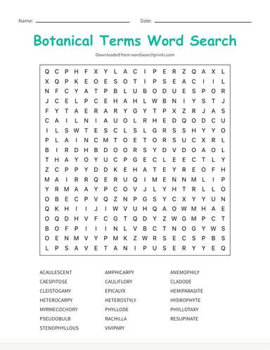 Advanced Word Search Puzzles | Word Search