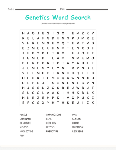 Medium Word Search Puzzles | Word Search