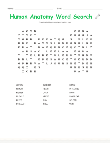 Human Anatomy Word Search Puzzles | Word Search