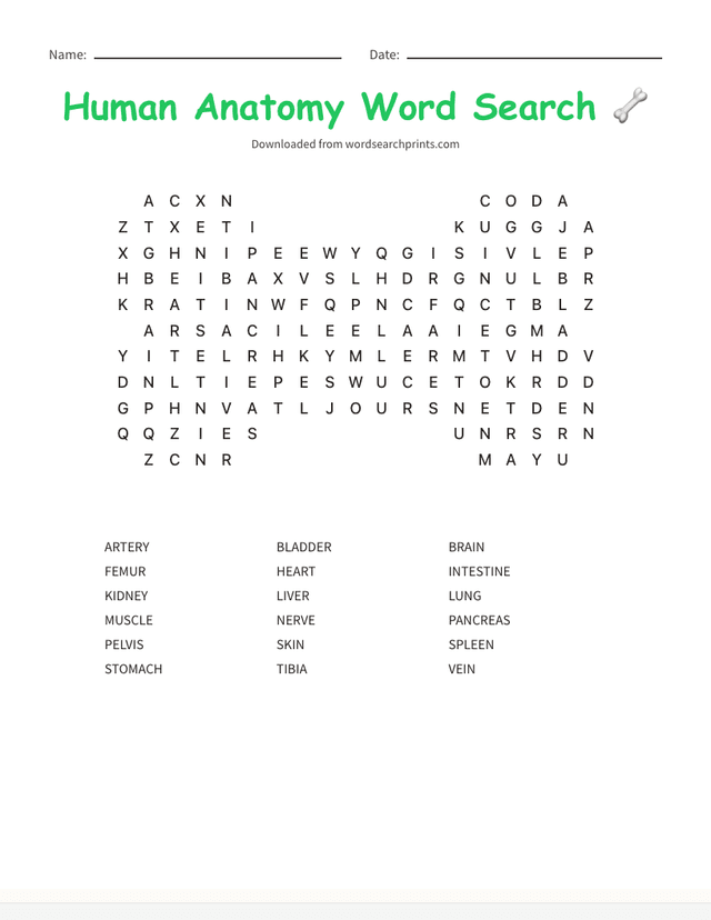 Human Anatomy Word Search Puzzles | Word Search