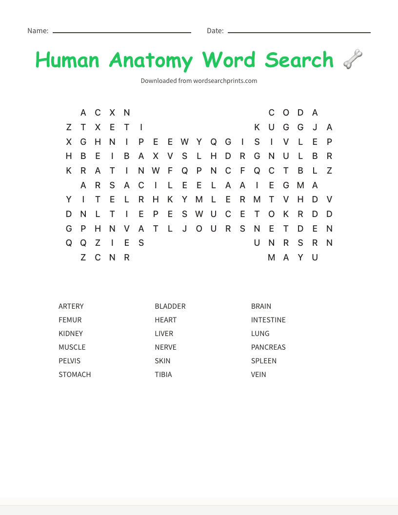 Human Anatomy Word Search Puzzles | Word Search